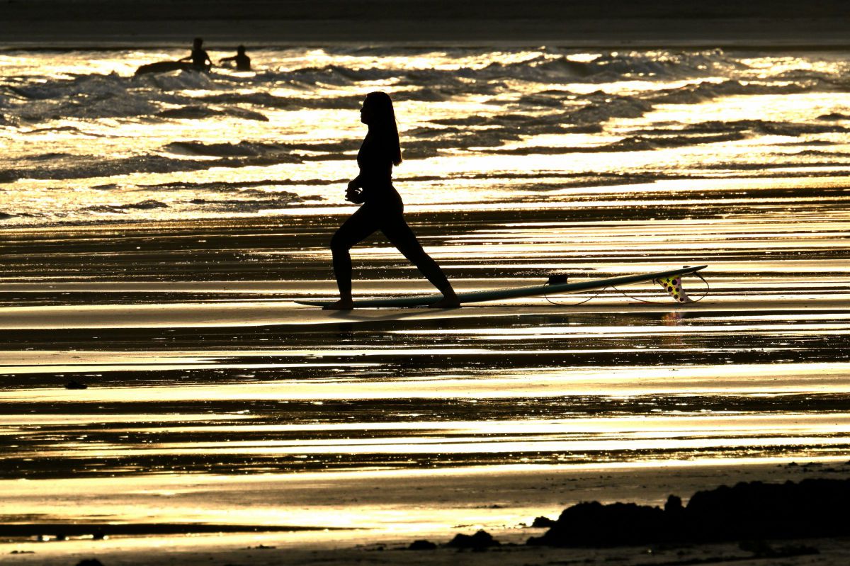 Sunset Surfer | GANREF