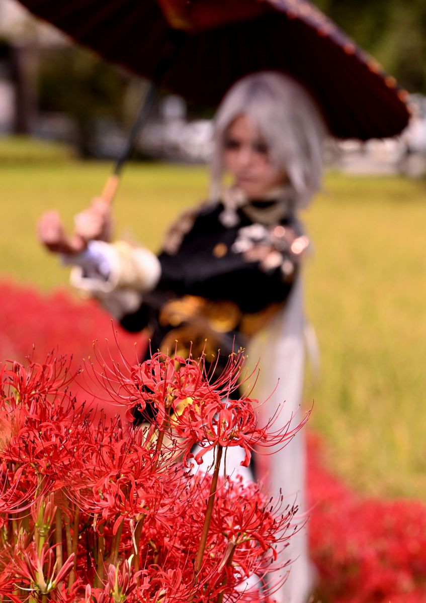 Your passion | GANREF