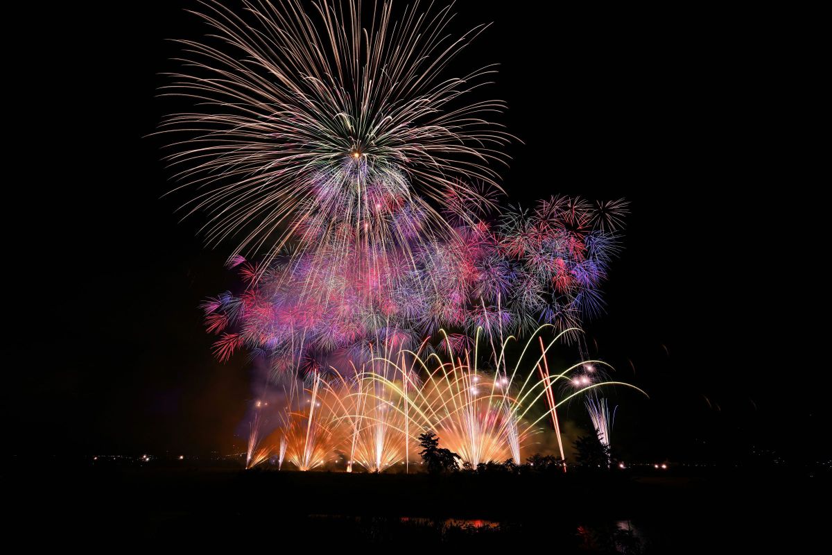 SUMMER BALL | GANREF