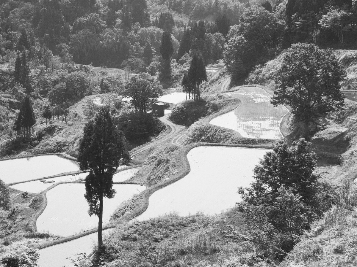 いまさらE-PM2 | GANREF