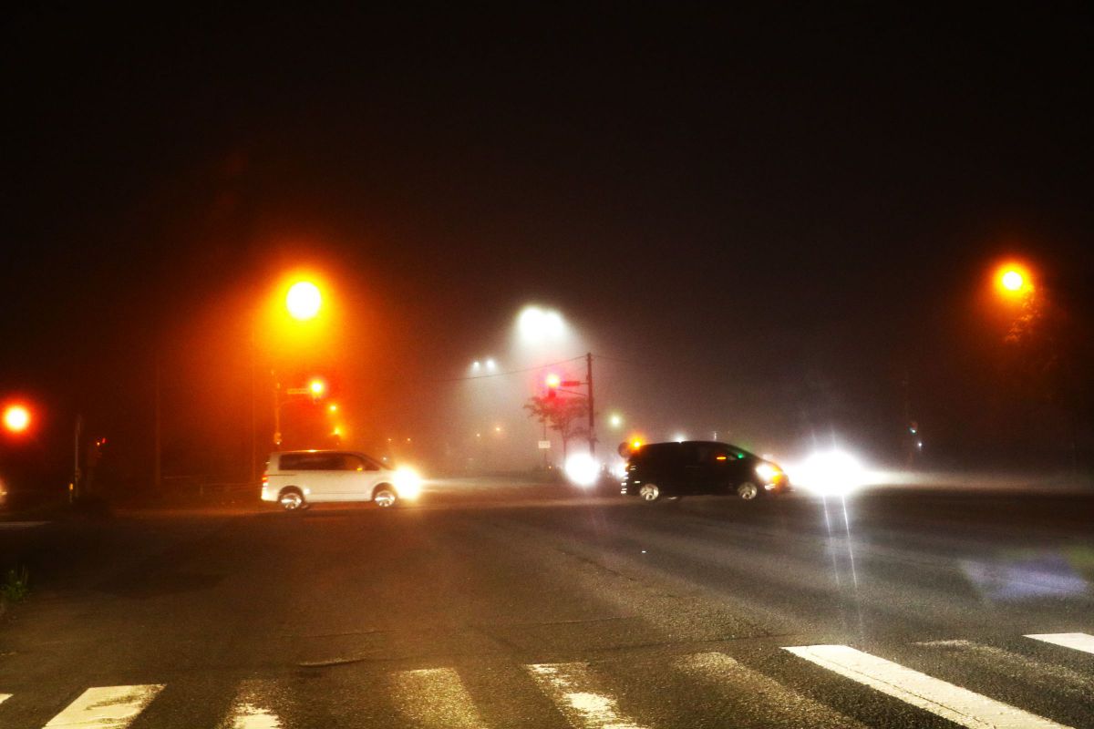 22 7 5 23 30 | GANREF