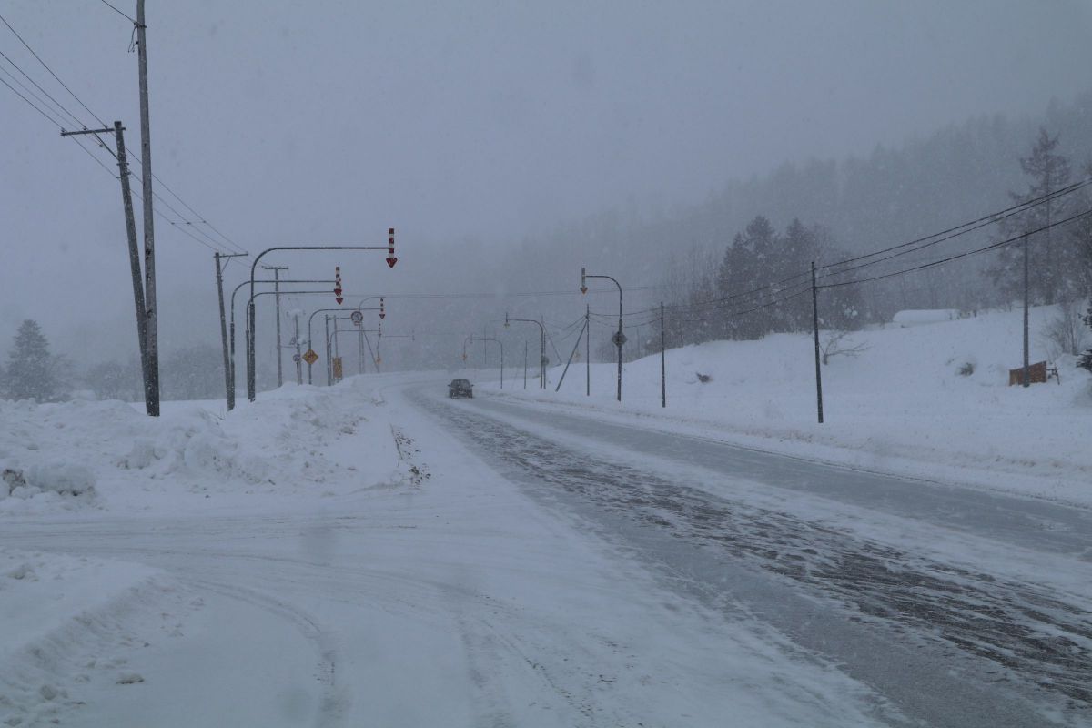 新城にて！ 6 | GANREF