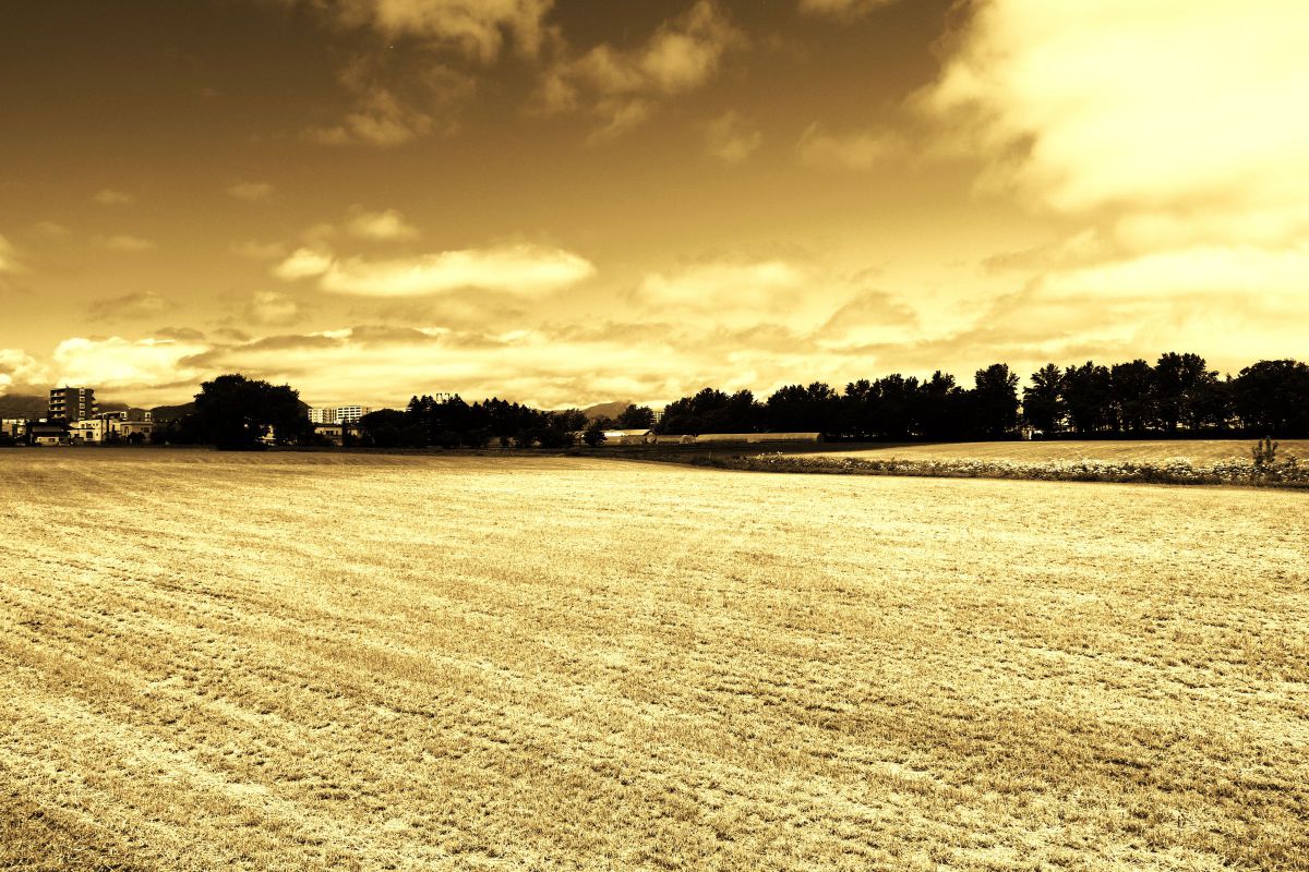 2022 6 12 9 53 | GANREF