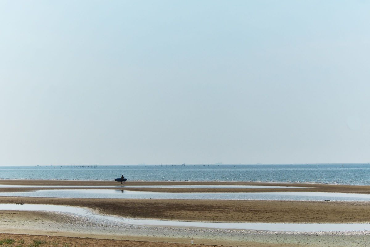 No need waves | GANREF