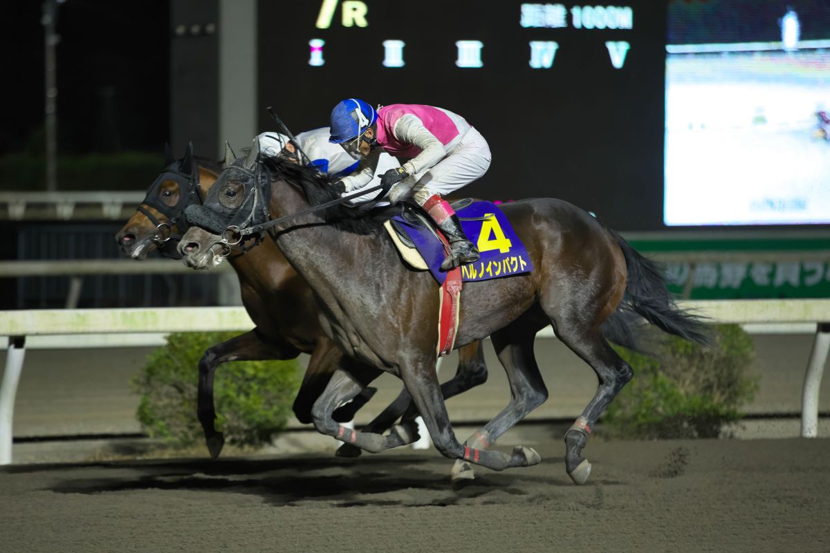 ハルノインパクト | GANREF