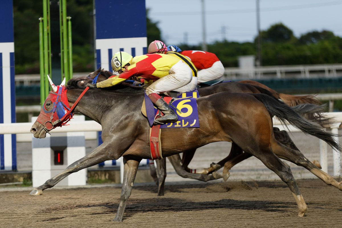 ヴェレノ | GANREF