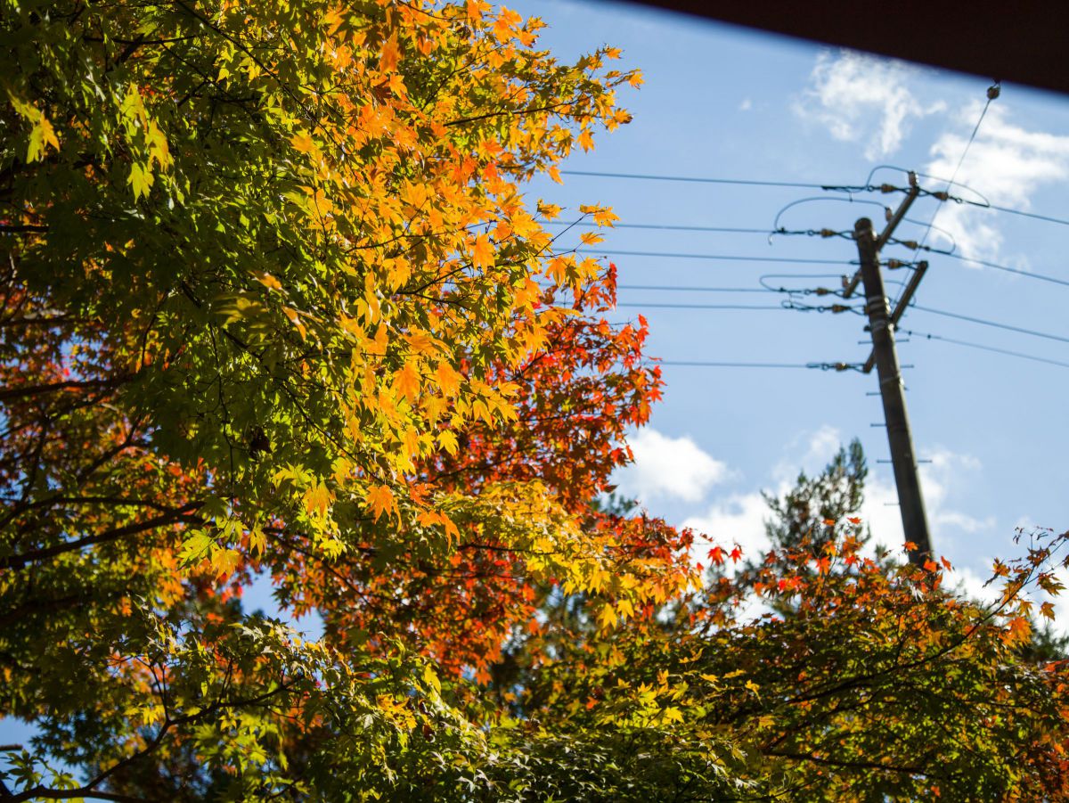 もう、少し.jpg | GANREF