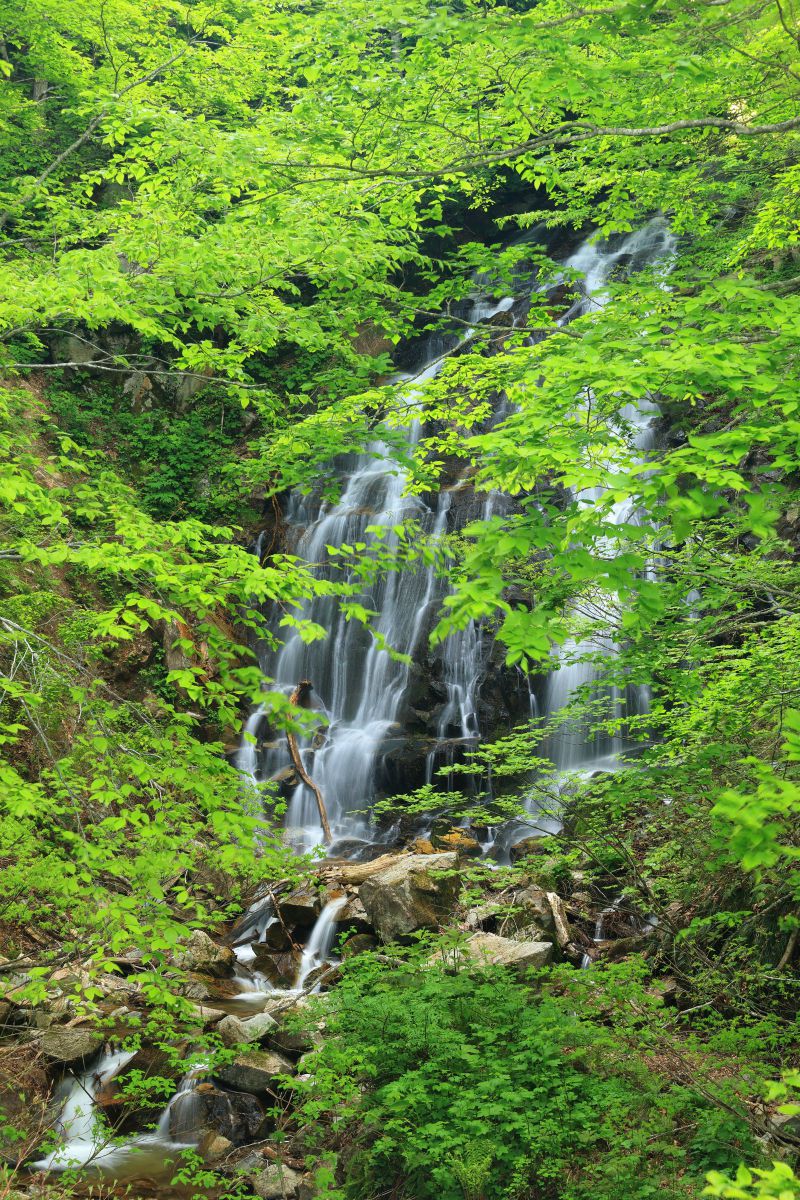 2025 裏磐梯の滝 | GANREF