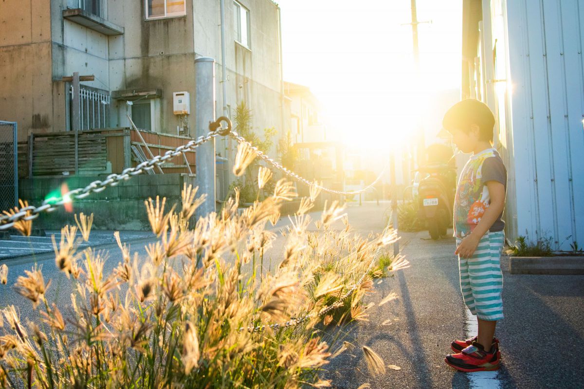 Gold Experience | GANREF