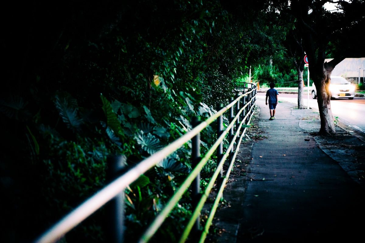 way to home | GANREF