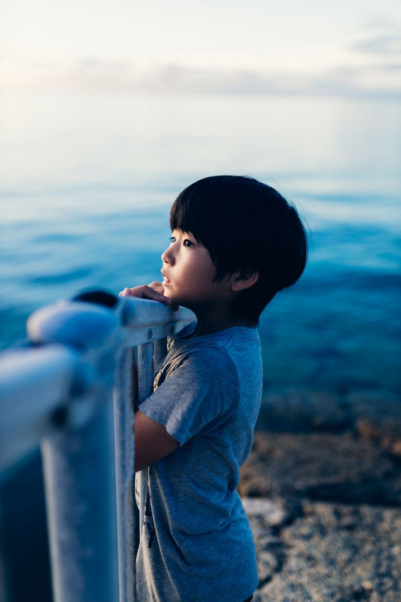 あのきれいな夕日 | GANREF