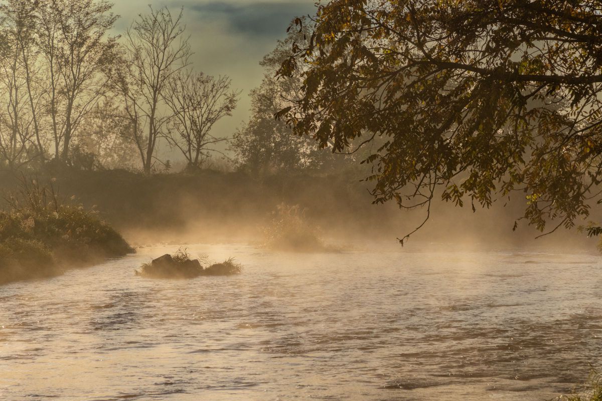 毛嵐にテンションMax | GANREF