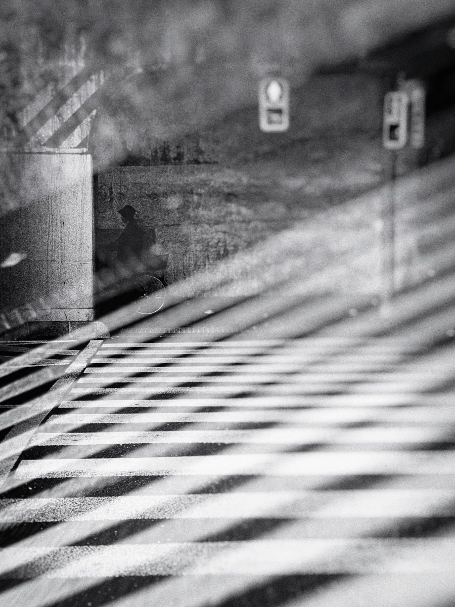 zebra crossing | GANREF