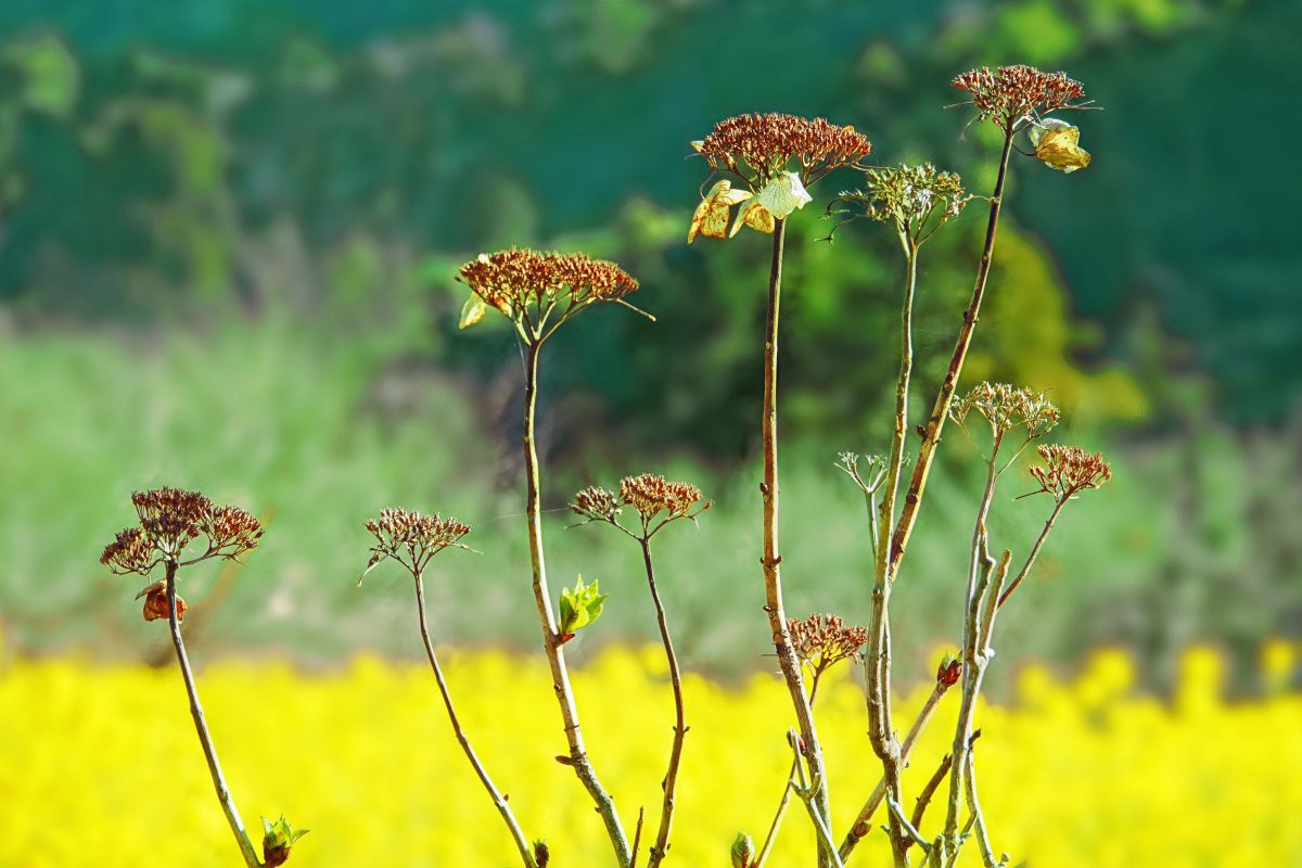 順番待ち | GANREF
