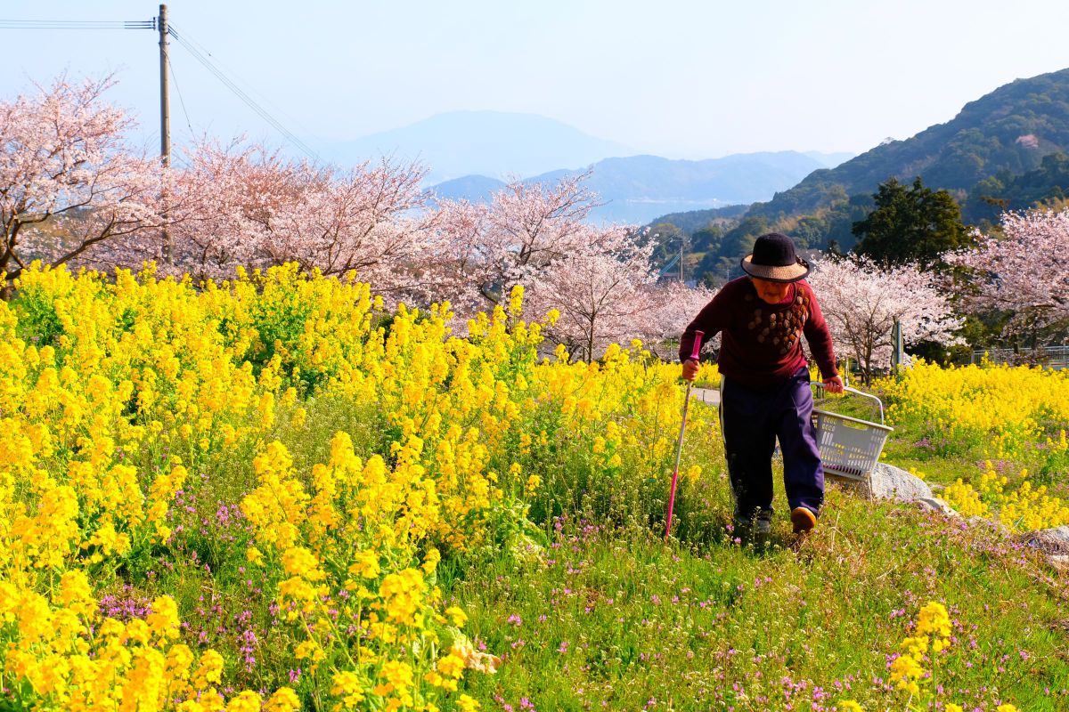 お元気でしょうか？ | GANREF