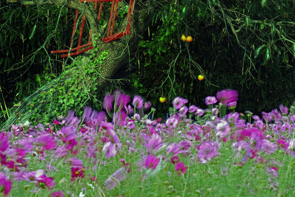 赤い脚立 | GANREF