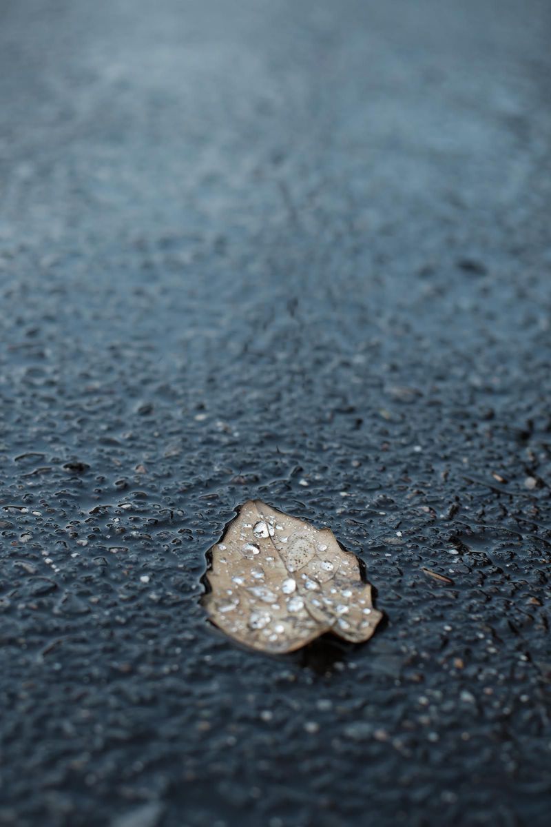 it's raining | GANREF