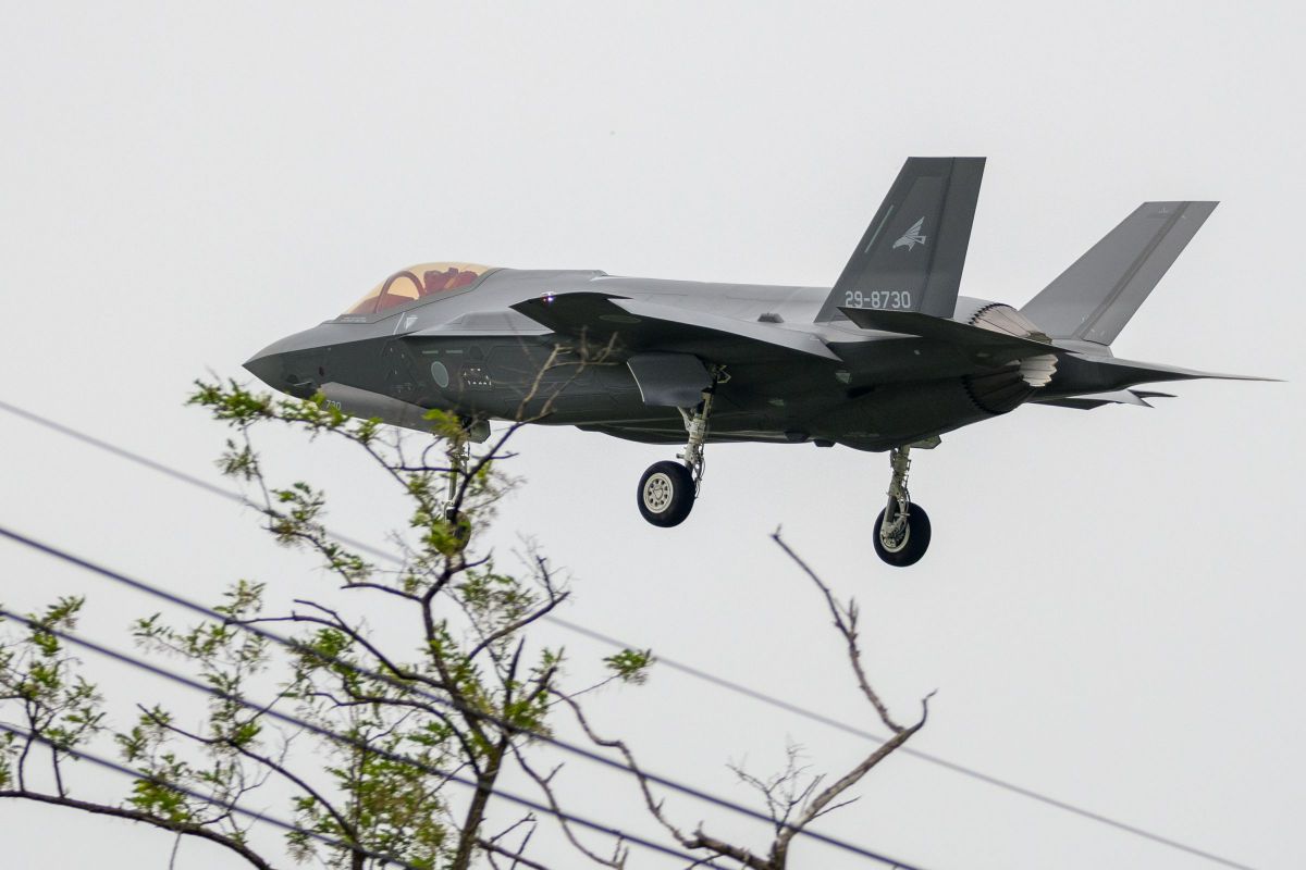 F-35A 初撮り! 枝被り | GANREF