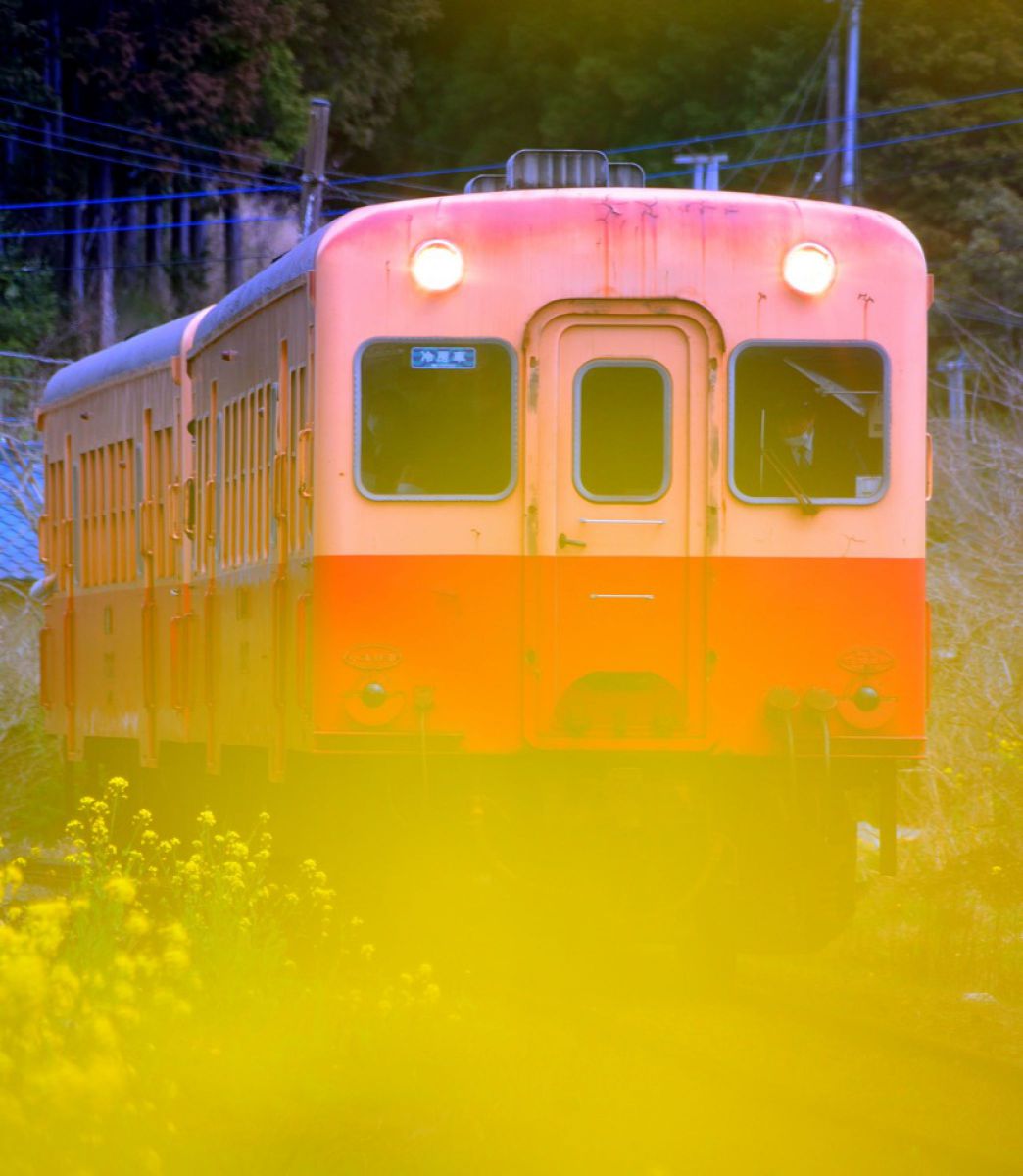 どこか懐かしい鉄道 | GANREF