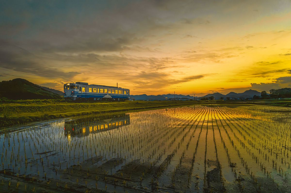 夕暮れ列車 | GANREF