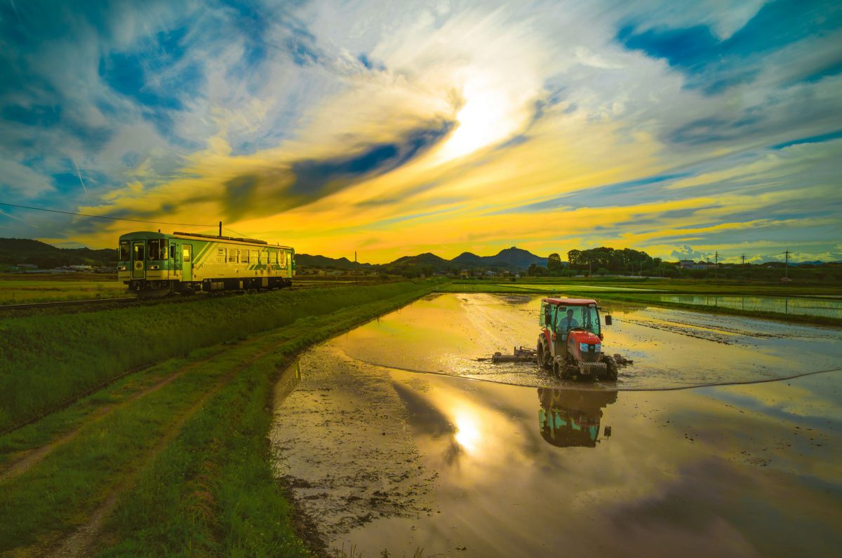 田掻きと気動車 | GANREF