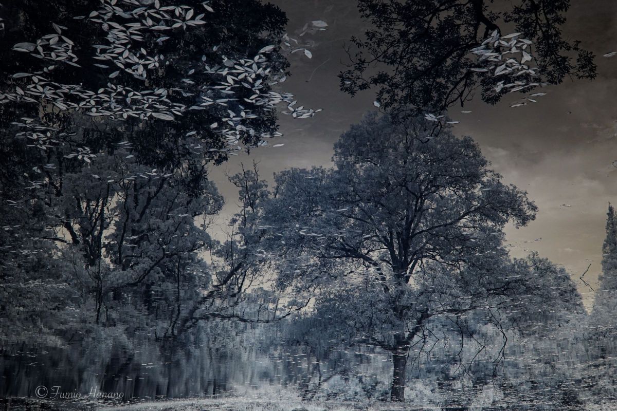 Invisible lights 2 | GANREF