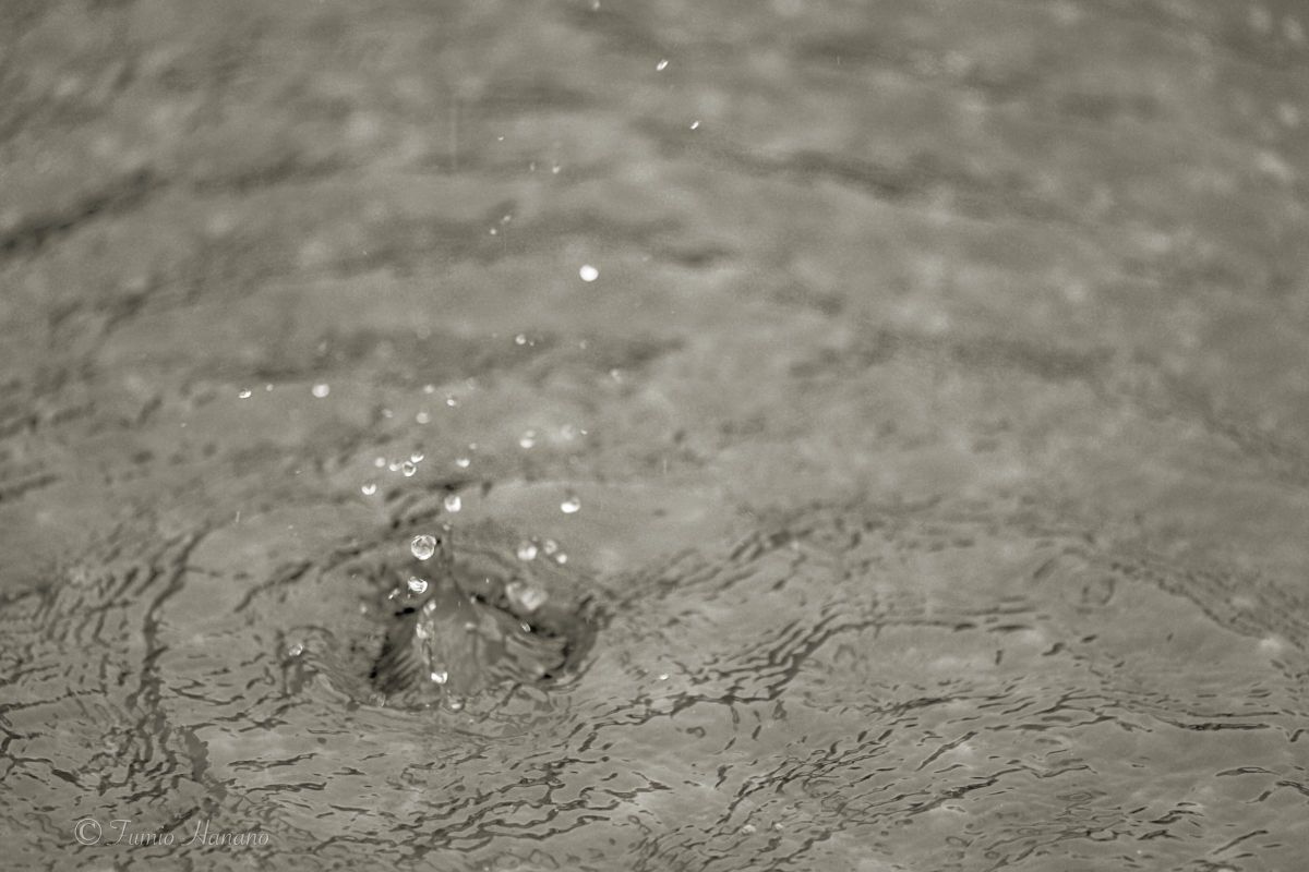 It’s raining 2 | GANREF