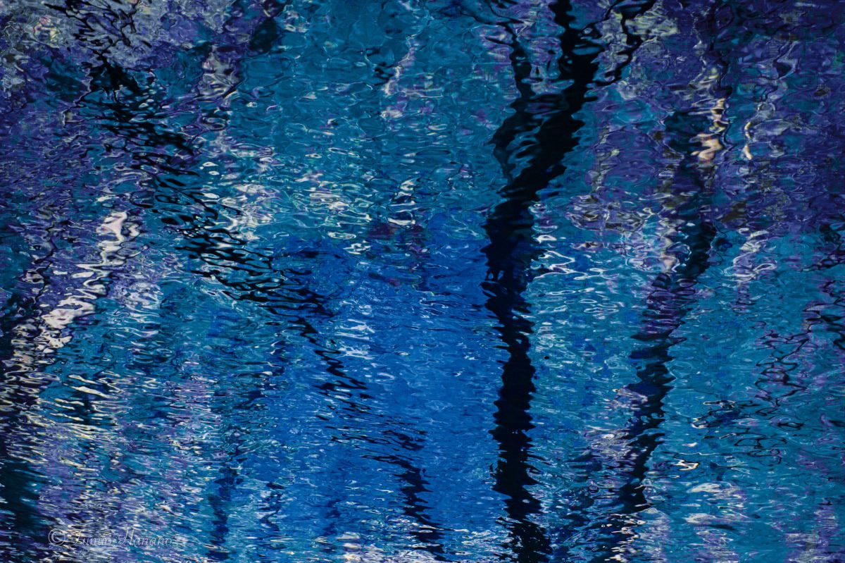 The water surface 2 | GANREF