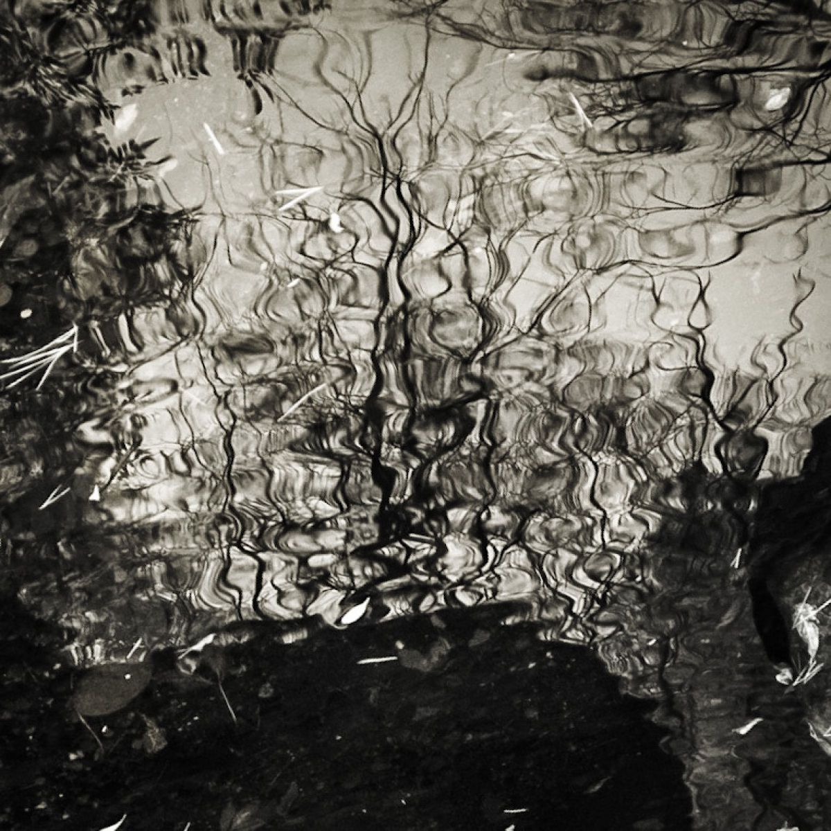 the water surface 1 | GANREF