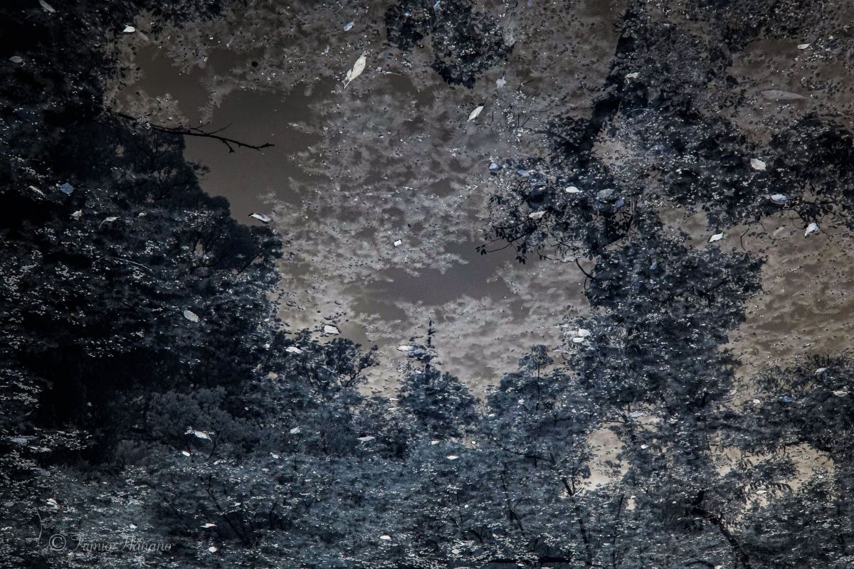 Invisible lights 6 | GANREF