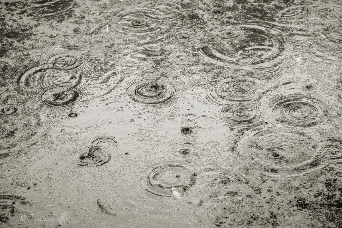 It’s raining 3 | GANREF