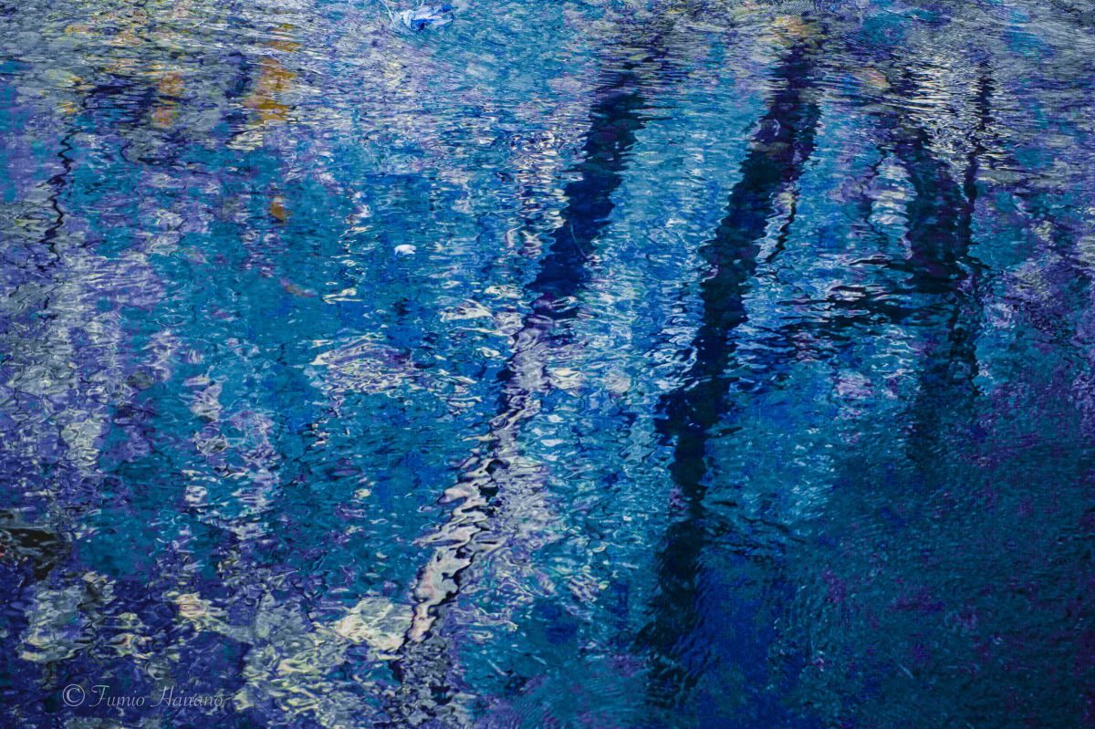 The water surface 1 | GANREF