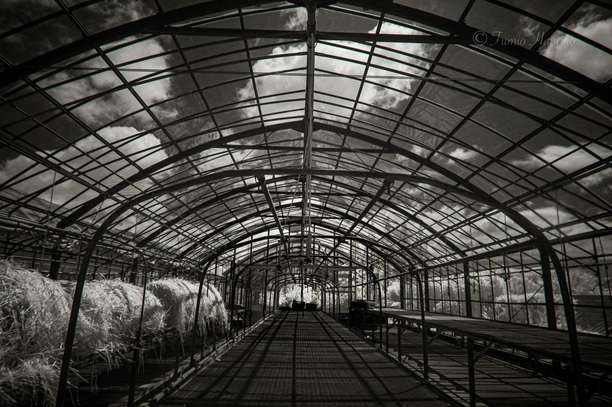 The greenhouse | GANREF