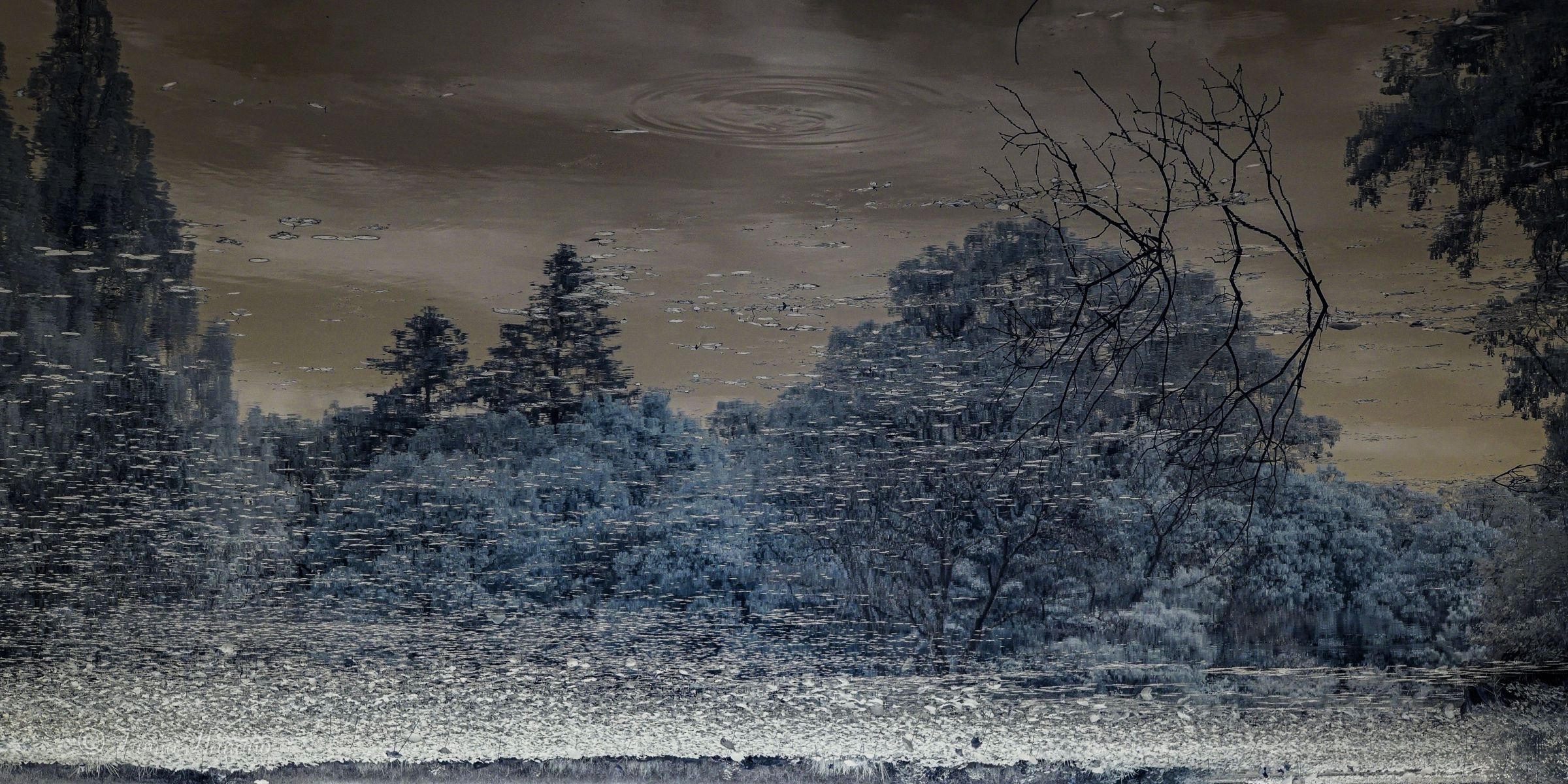 Invisible lights 1 | GANREF