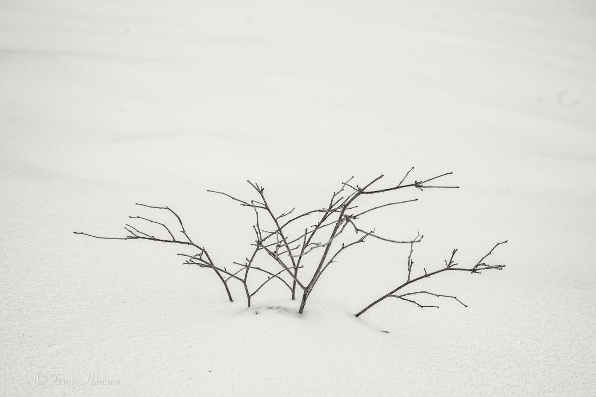 My tiny snowscape 12 | GANREF