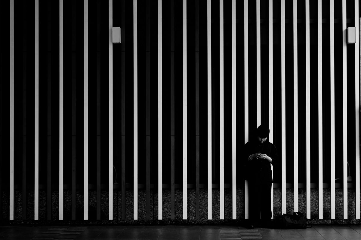 「Zebra」 | GANREF