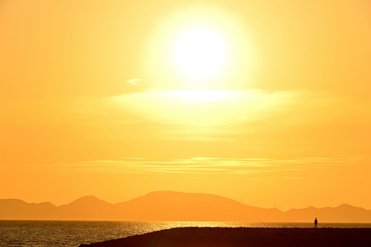 「Alone」 | GANREF