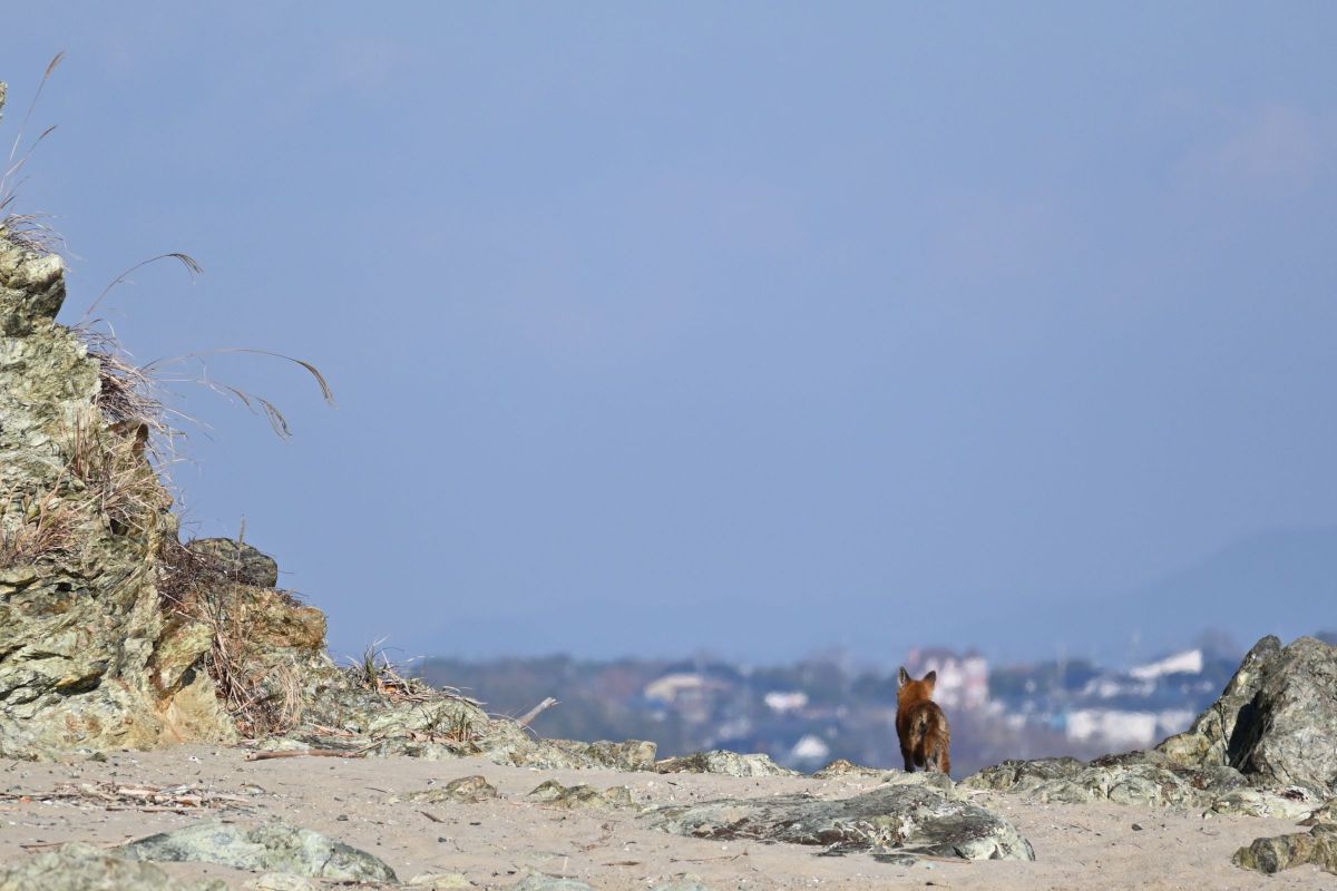 「See you again」 | GANREF