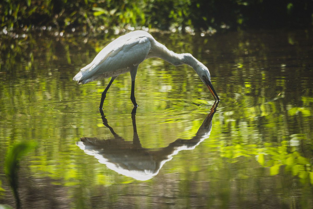 entrance to another world | GANREF