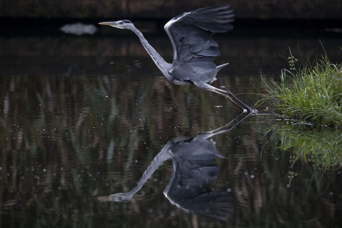 another world | GANREF