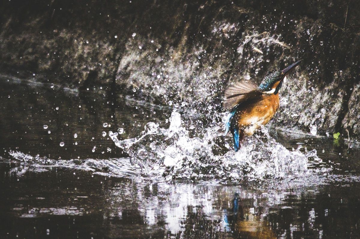 帰還 -re- | GANREF