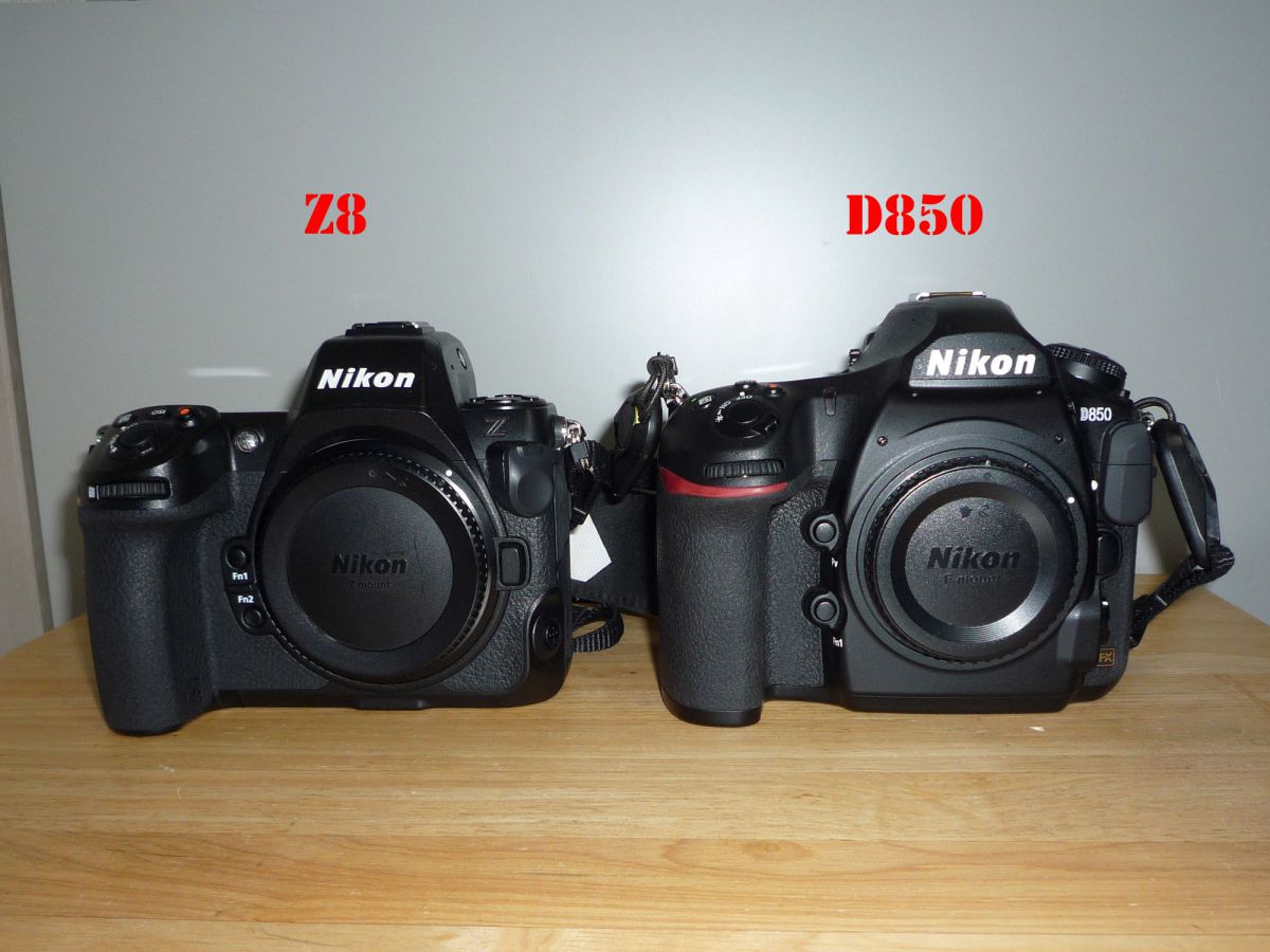 [ニコン Z8＆大三元レンズ]_002 ナンバー"8" | GANREF
