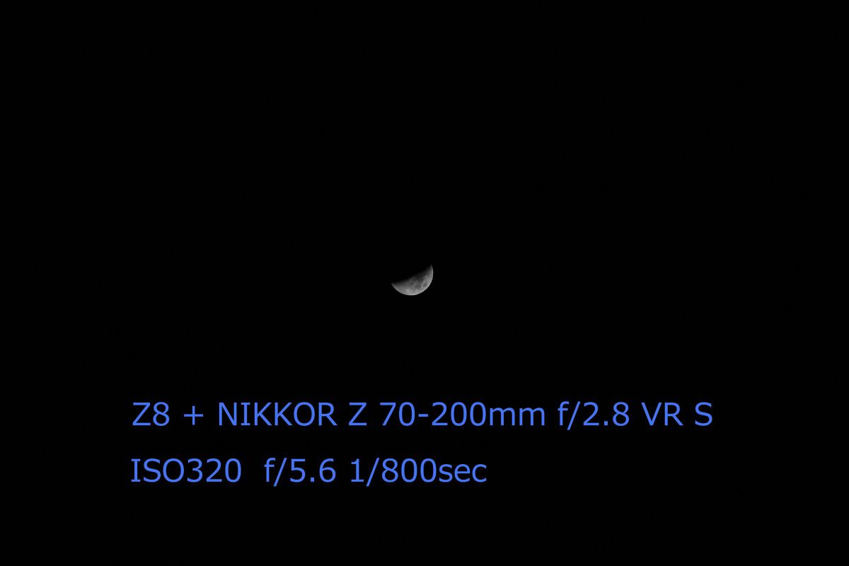 [ニコン Z8＆大三元レンズ]_006 望遠の世界 | GANREF