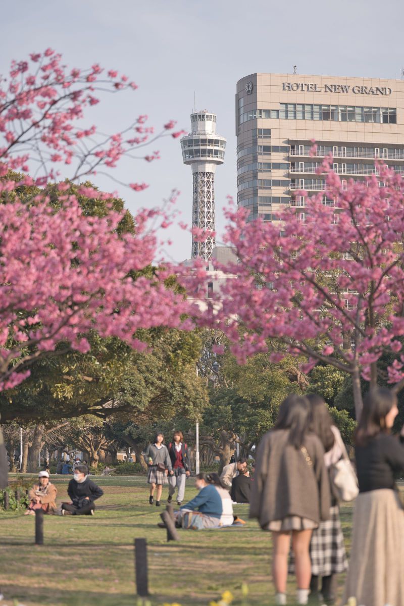 春彩のひととき | GANREF