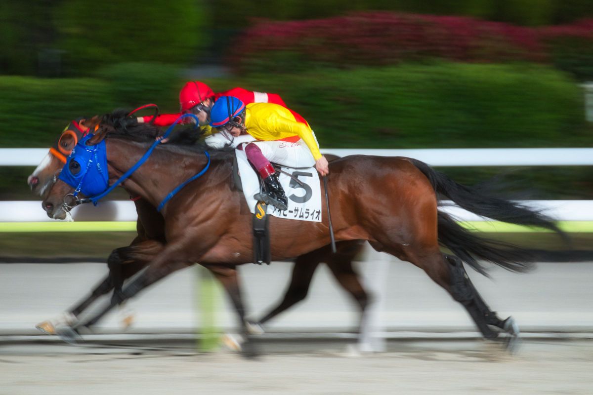 デットヒート | GANREF