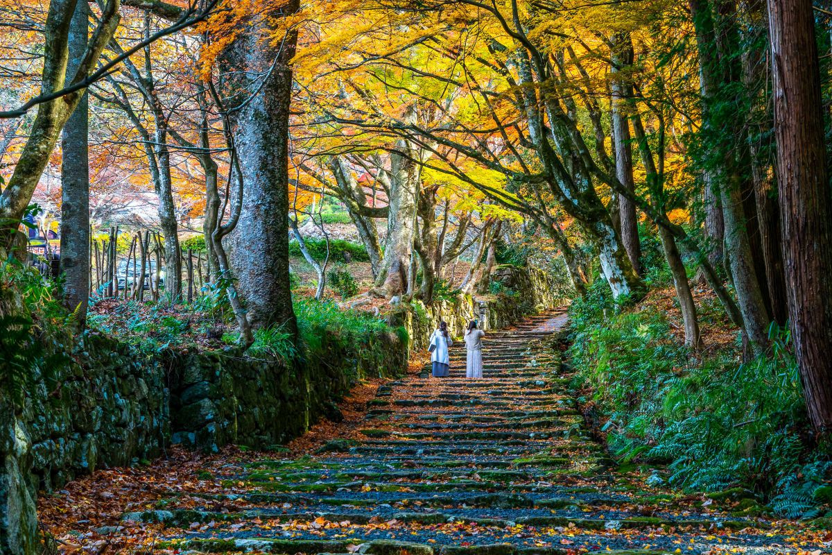 初冬の旅 | GANREF