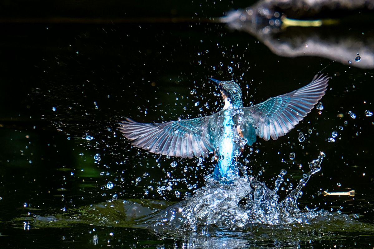 2000分の1の世界 | GANREF