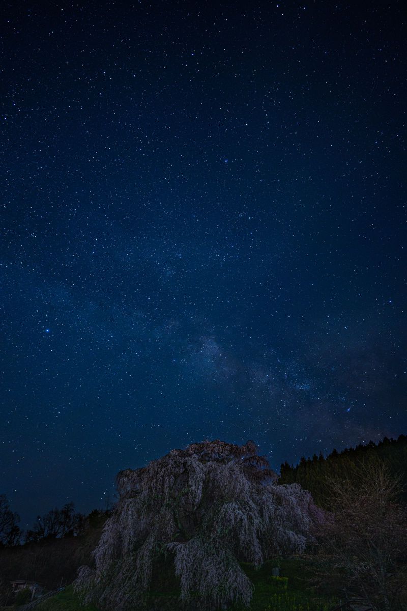 reDSC03894.jpg | GANREF