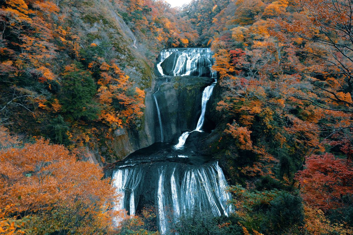 Fukuroda waterFall | GANREF