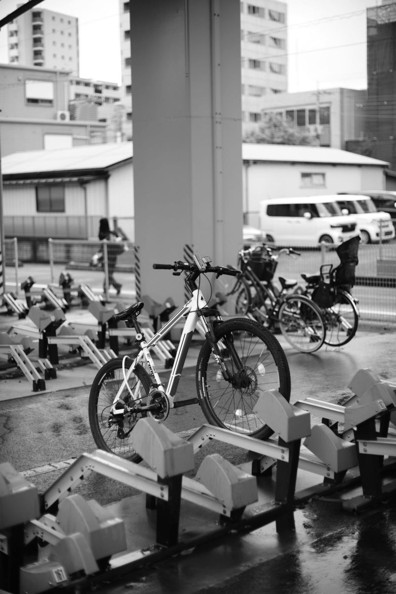 唯我独尊 | GANREF